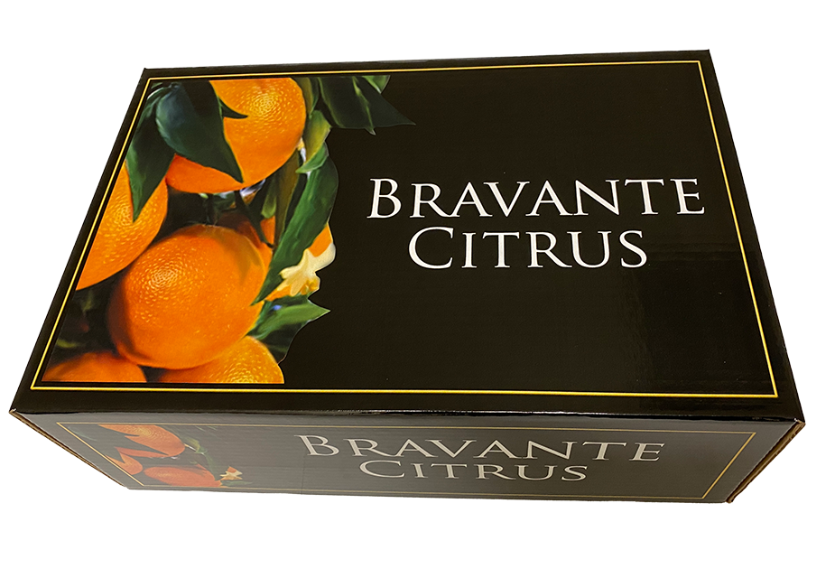 Premium Navel Oranges - Bravante Citrus Direct